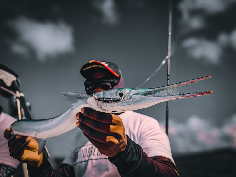 minnows – TidesLures